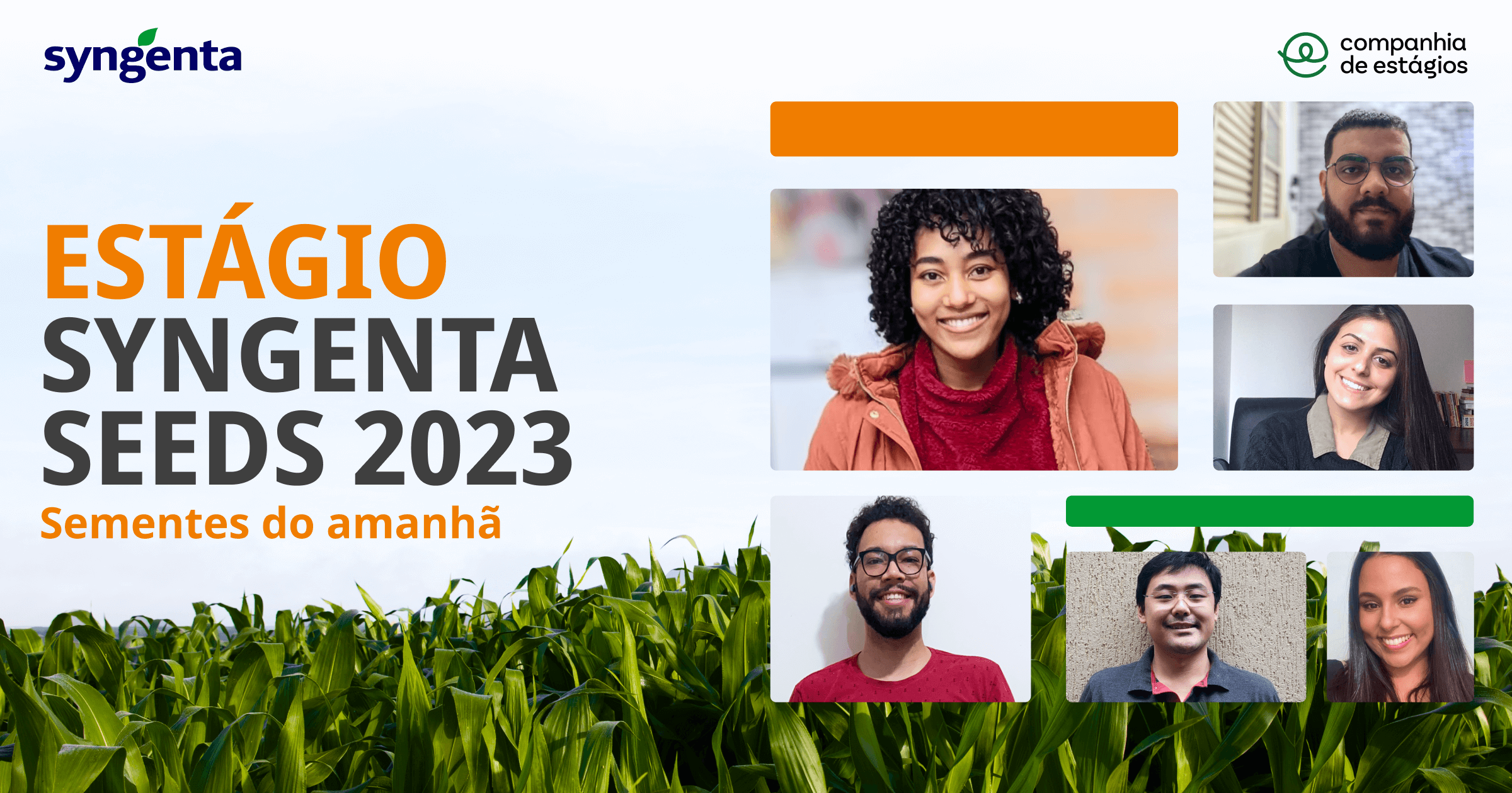 Programa de Estágio Syngenta Seeds 2023 — Companhia de Estágios